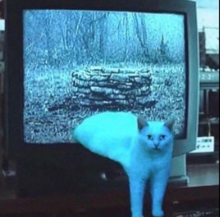 netspooky (@netspooky@haunted.computer) - haunted computer